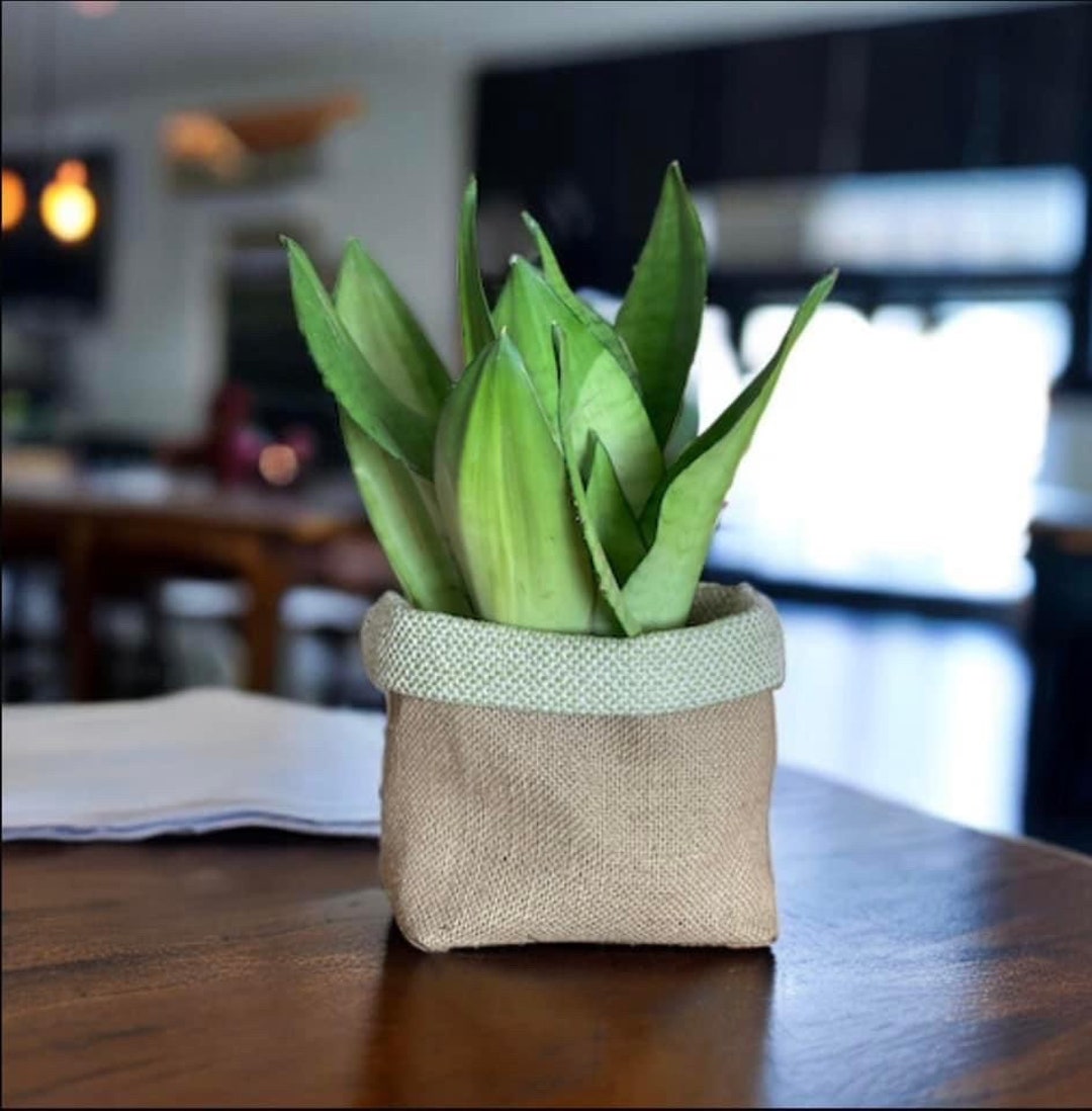 Fabric Planter, Indoor Plant Pot, Plant Lover Gift, Eco Friendly ...