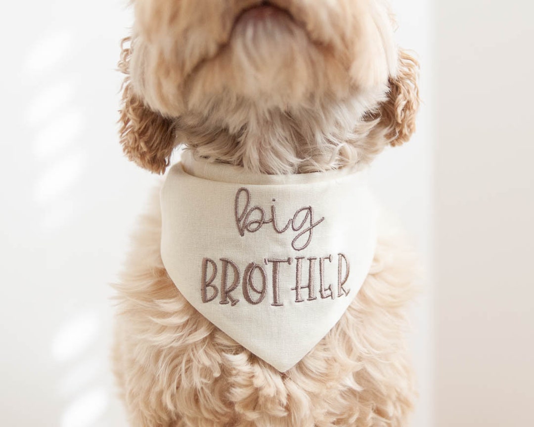 Big Brother Dog Bandana With Snaps Bandana for Dog Pregnancy ...