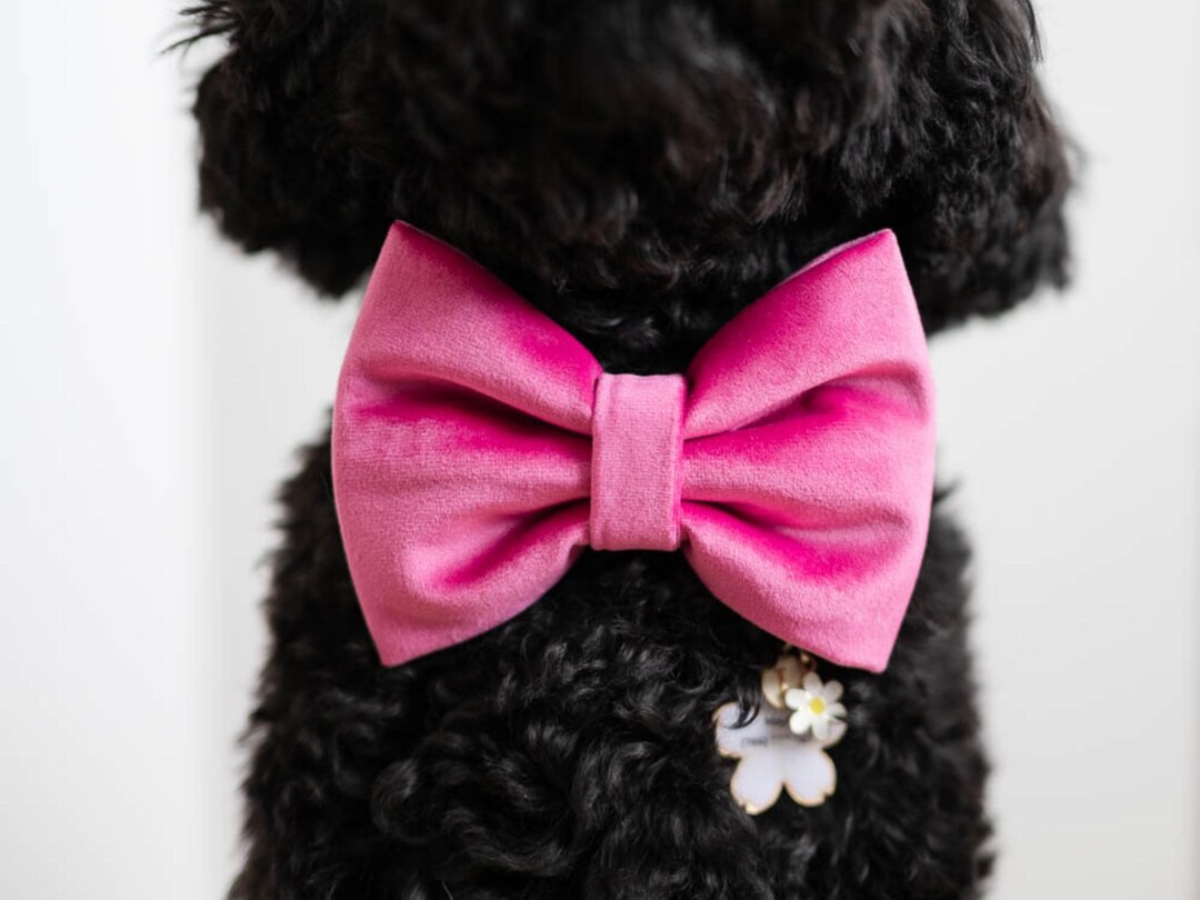 Hot Pink Dog Bow Tie, Velvet Dog Collar Bow, Dog Wedding Bow Tie, Hot ...