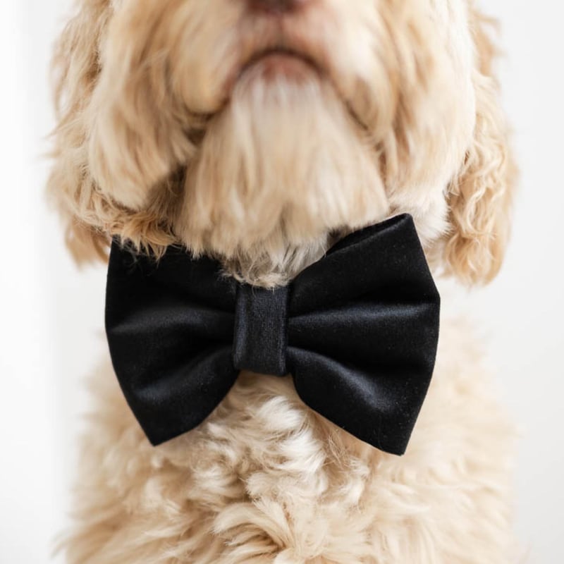 Black Bow Tie for Girls - Etsy