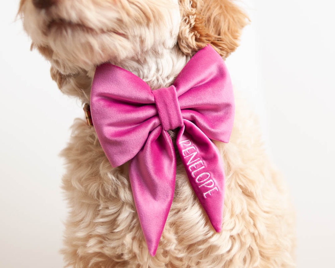 Hot Pink Dog Bow W/ Embroidery, Personalized Velvet Collar Bow, Dog ...