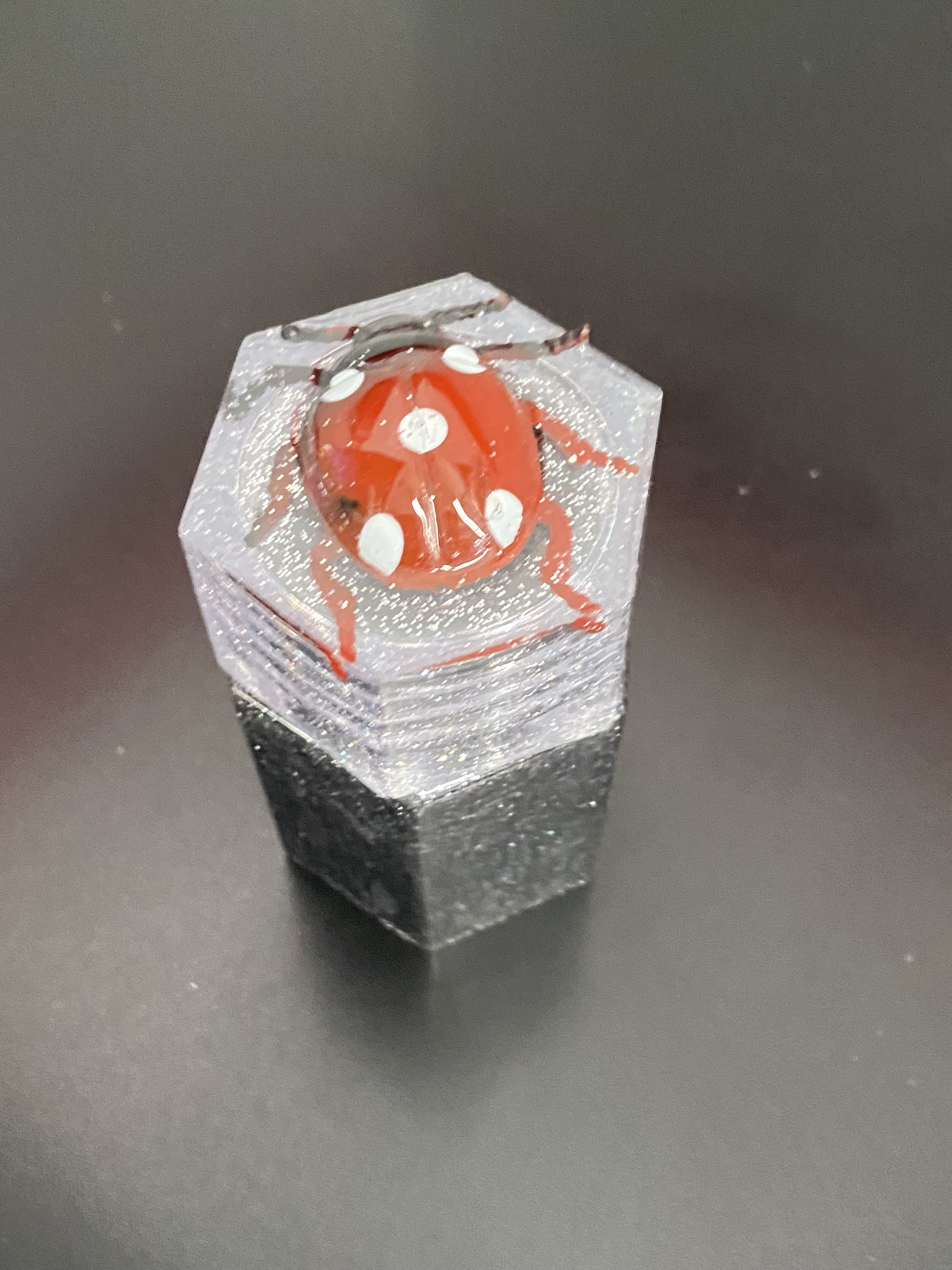 Resin Jar Infused With Beautiful Ladybug Lid for Small - Etsy