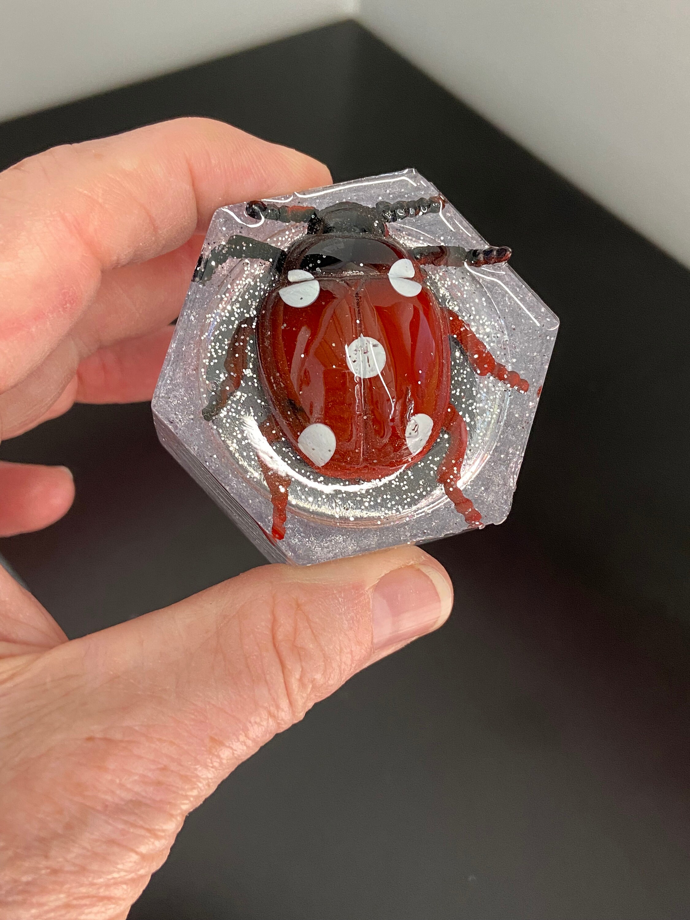 Resin Jar Infused With Beautiful Ladybug Lid for Small - Etsy