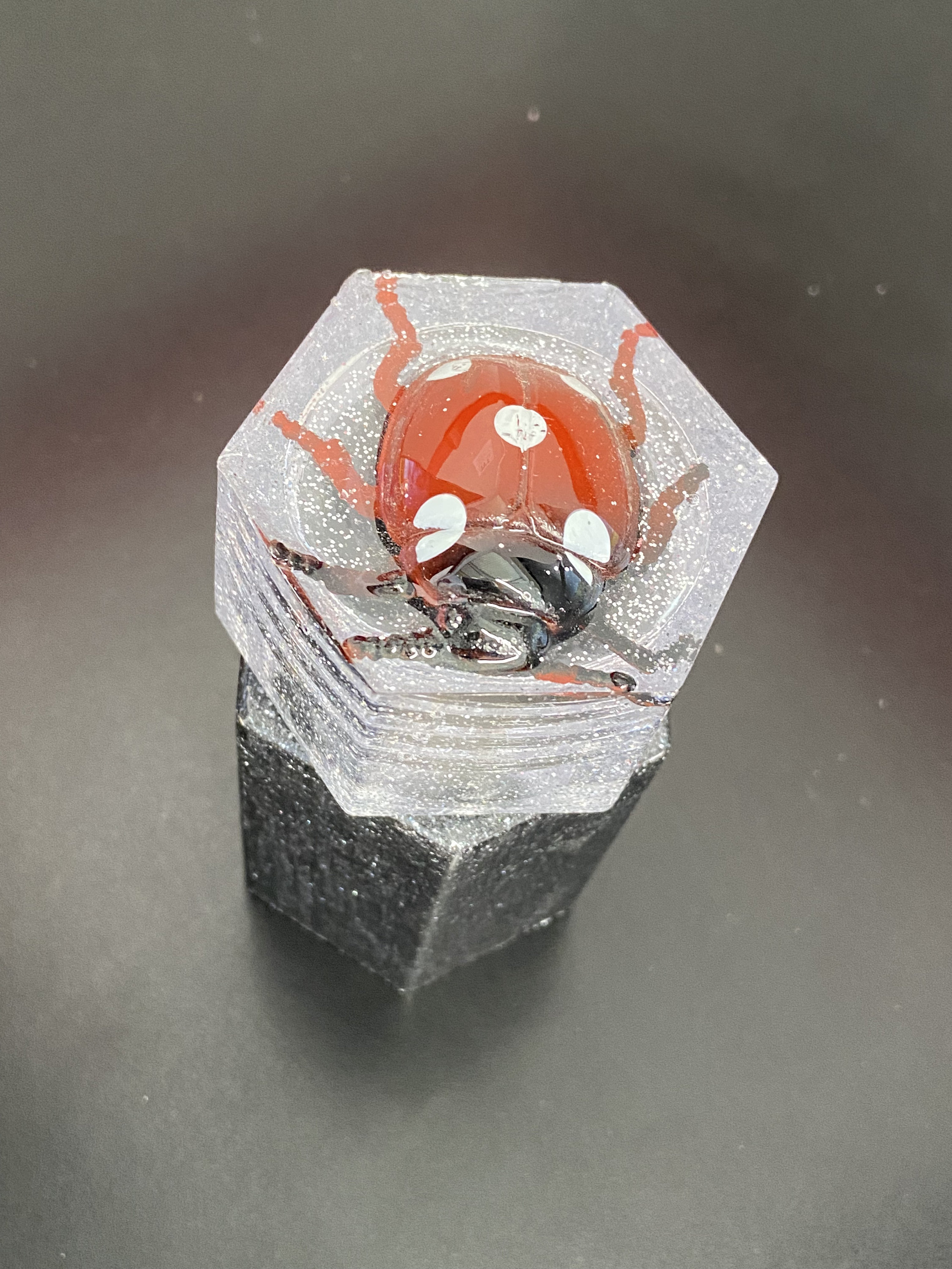 Resin Jar Infused With Beautiful Ladybug Lid for Small - Etsy