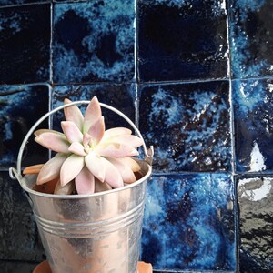 Handmade Glazed Tile 10x 10 Cm - Pack 25 Tiles - Etsy