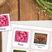 Homeschooling Montessori Flower Flash Cards Printable Real Floral Image ...