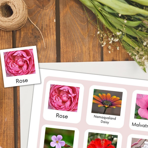 Flower Flash Cards - Etsy