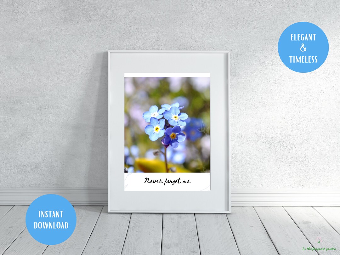 Forget Me Not Prints Wall Art Print Poster Flower Floral Printable ...