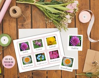 Homeschooling Montessori Flower Flash Cards Printable Real Floral Image ...