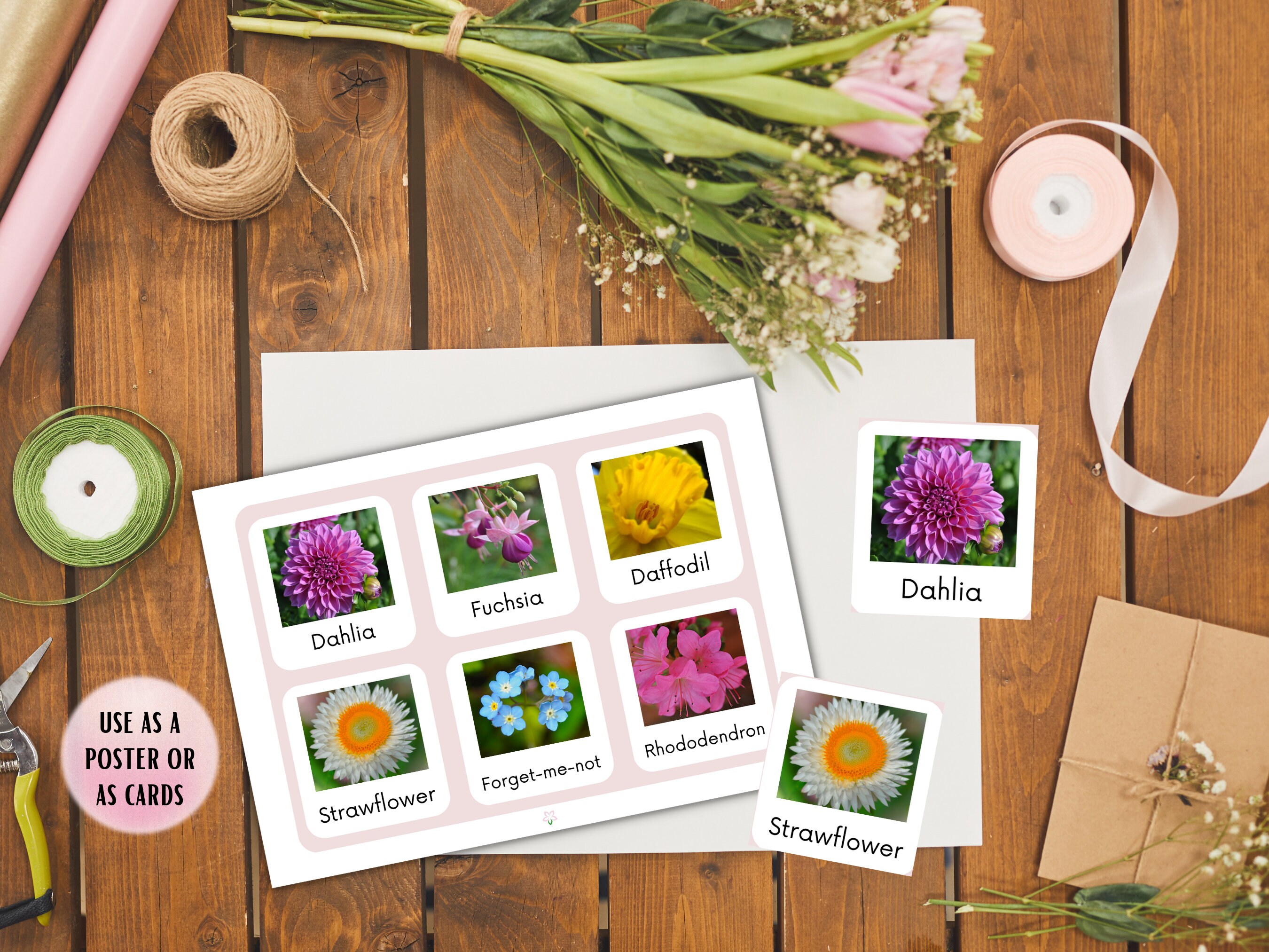 Flower Flash Cards Printable Real Floral Image Flash Cards 12 Types of ...