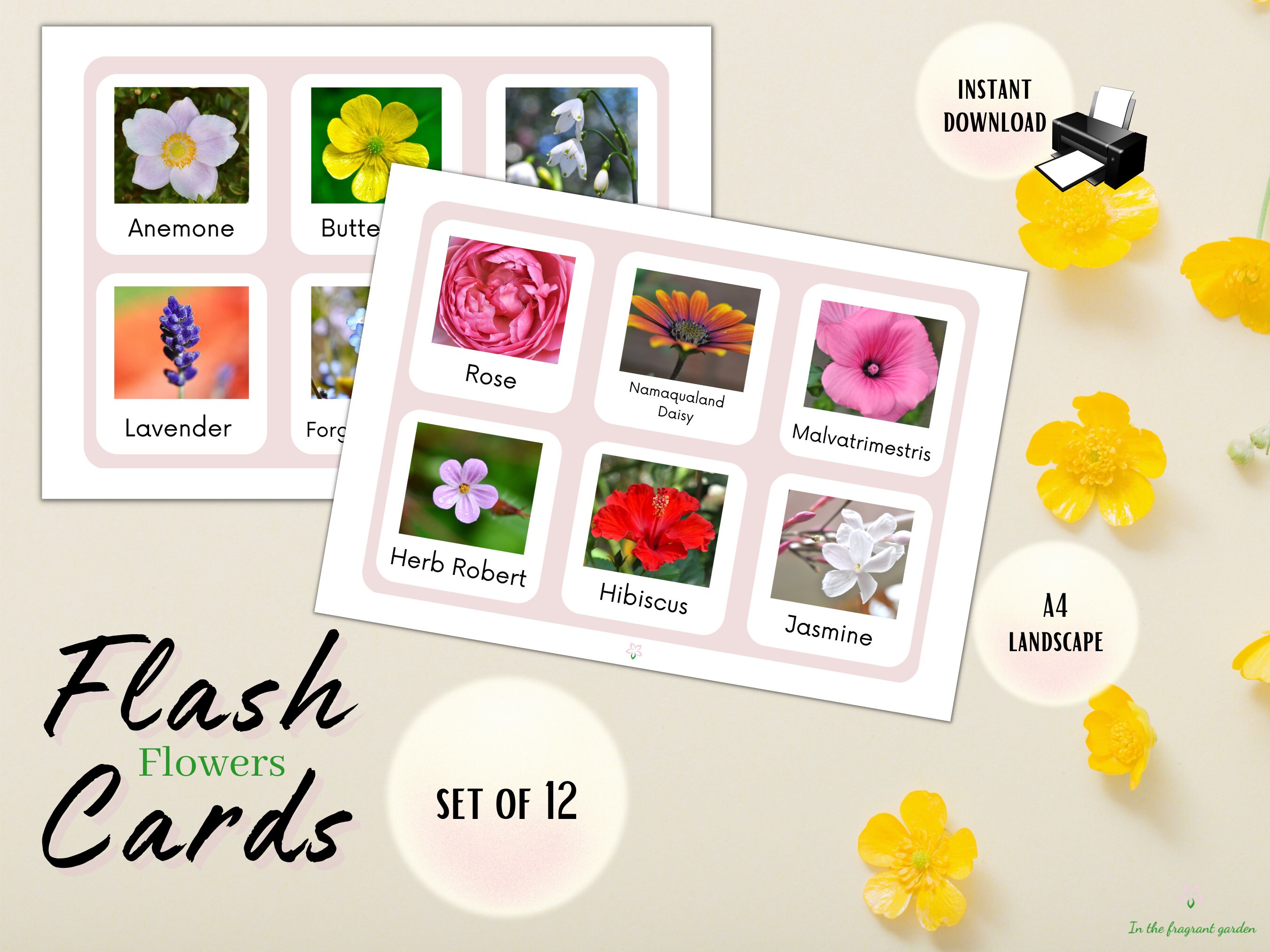 Homeschooling Montessori Flower Flash Cards Printable Real Floral Image ...