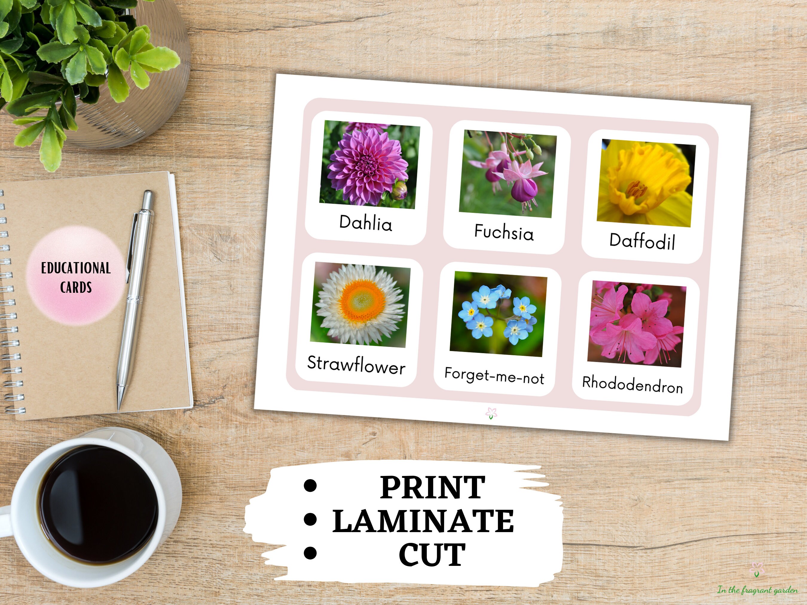 Flower Flash Cards Printable Real Floral Image Flash Cards 12 Types of ...