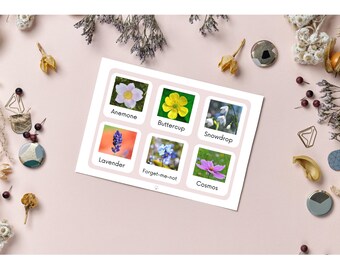 Flower Herb Flash Cards - Etsy