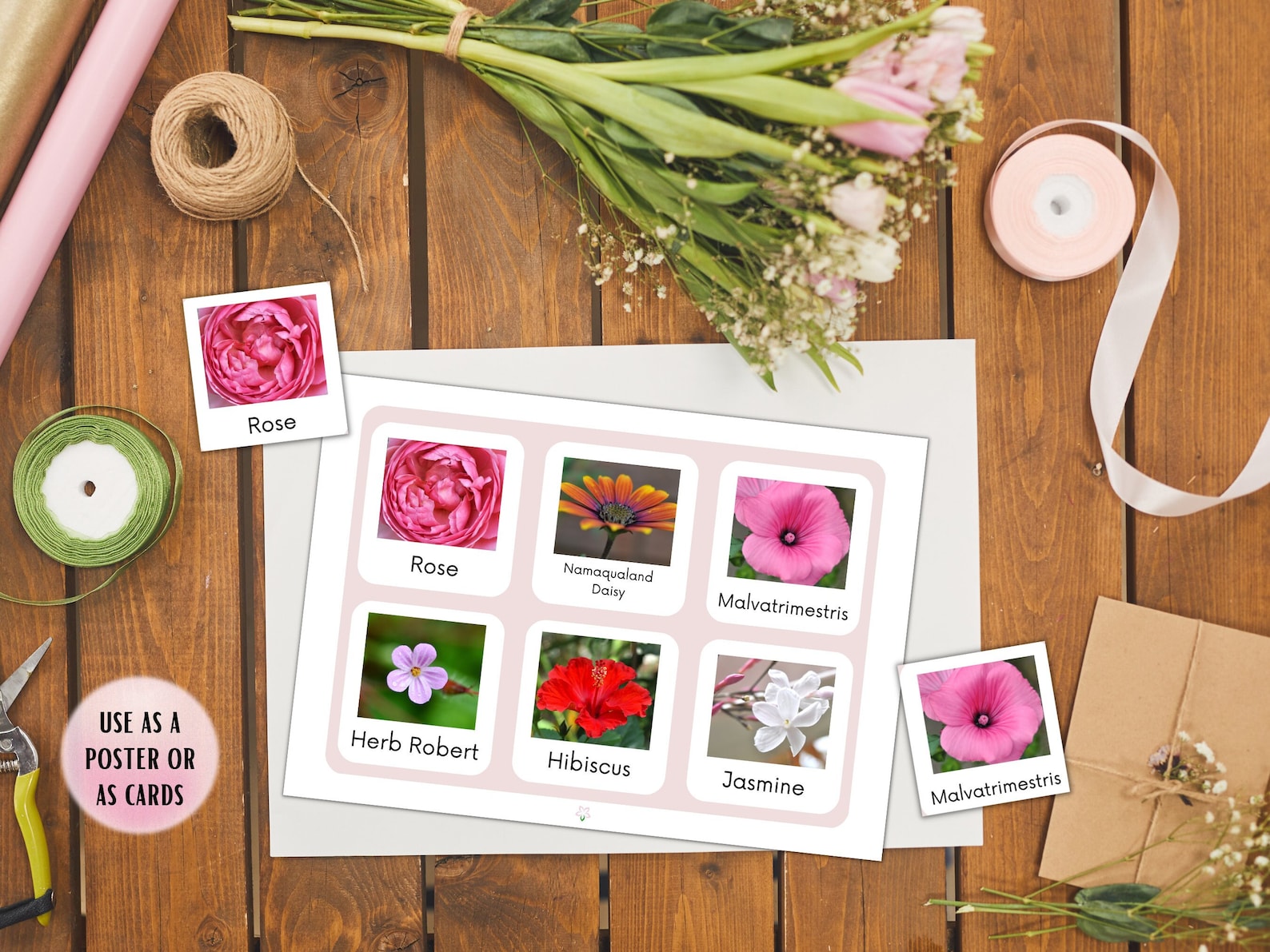 Homeschooling Montessori Flower Flash Cards Printable Real Floral Image ...