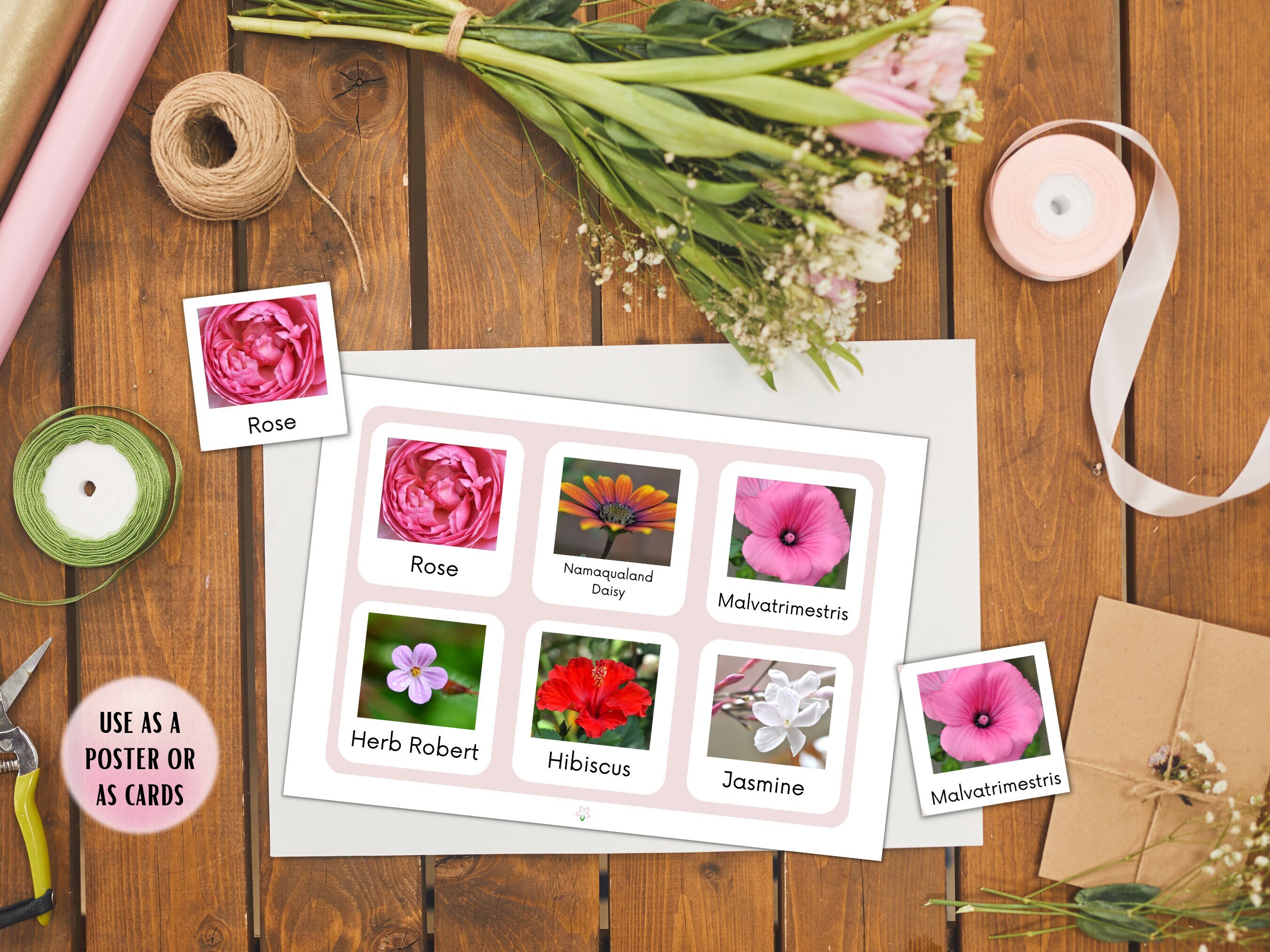 Homeschooling Montessori Flower Flash Cards Printable Real Floral Image ...