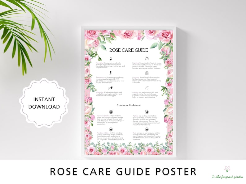 Complete Rose Plant Care Guide - Printable PDF for Beginners How to ...