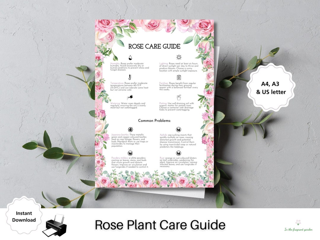 Complete Rose Plant Care Guide - Printable PDF for Beginners How to ...