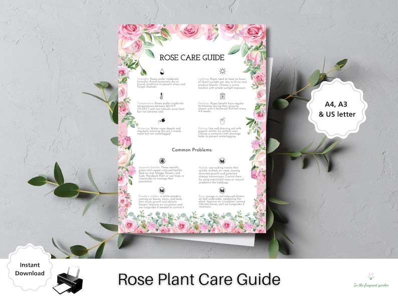 Complete Rose Plant Care Guide - Printable PDF for Beginners How to ...