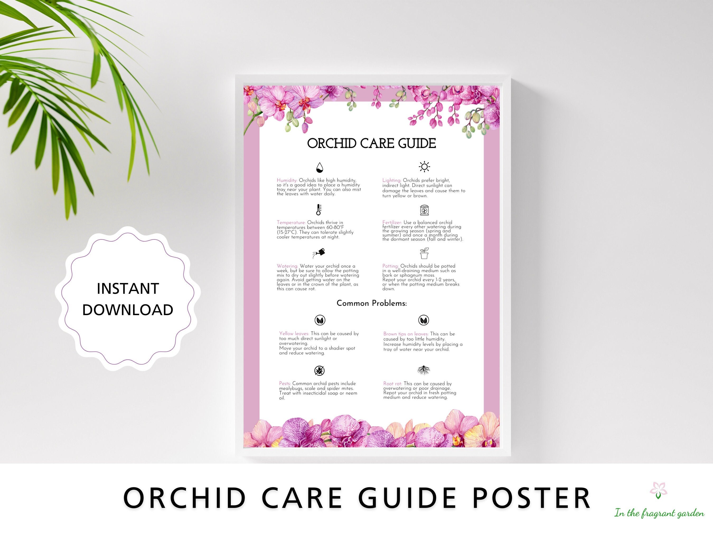 Orchid Care Guide Printable, Houseplant Help Poster (A4, A3, US) - Etsy