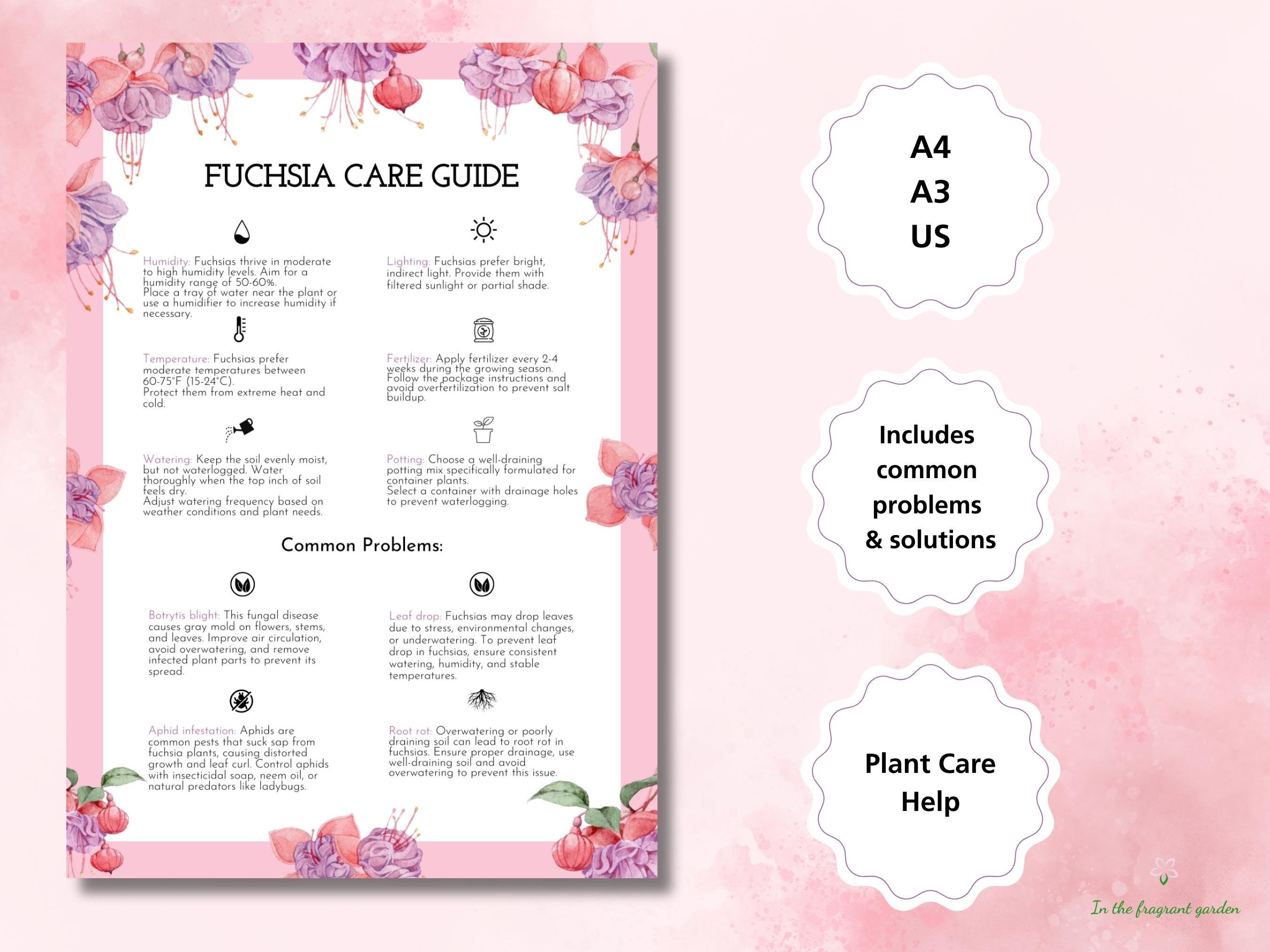 Fuchsia Plant Care Guide Poster – Printable Gardener Tips (digital ...
