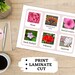 Homeschooling Montessori Flower Flash Cards Printable Real Floral Image ...