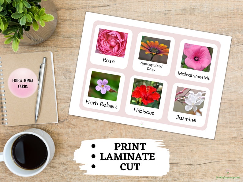 Homeschooling Montessori Flower Flash Cards Printable Real Floral Image ...