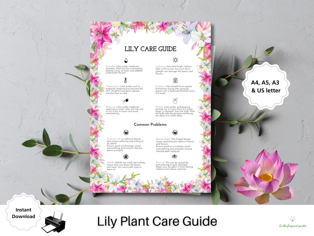 Complete Lily Plant Care Guide - Printable PDF for Beginners How to ...