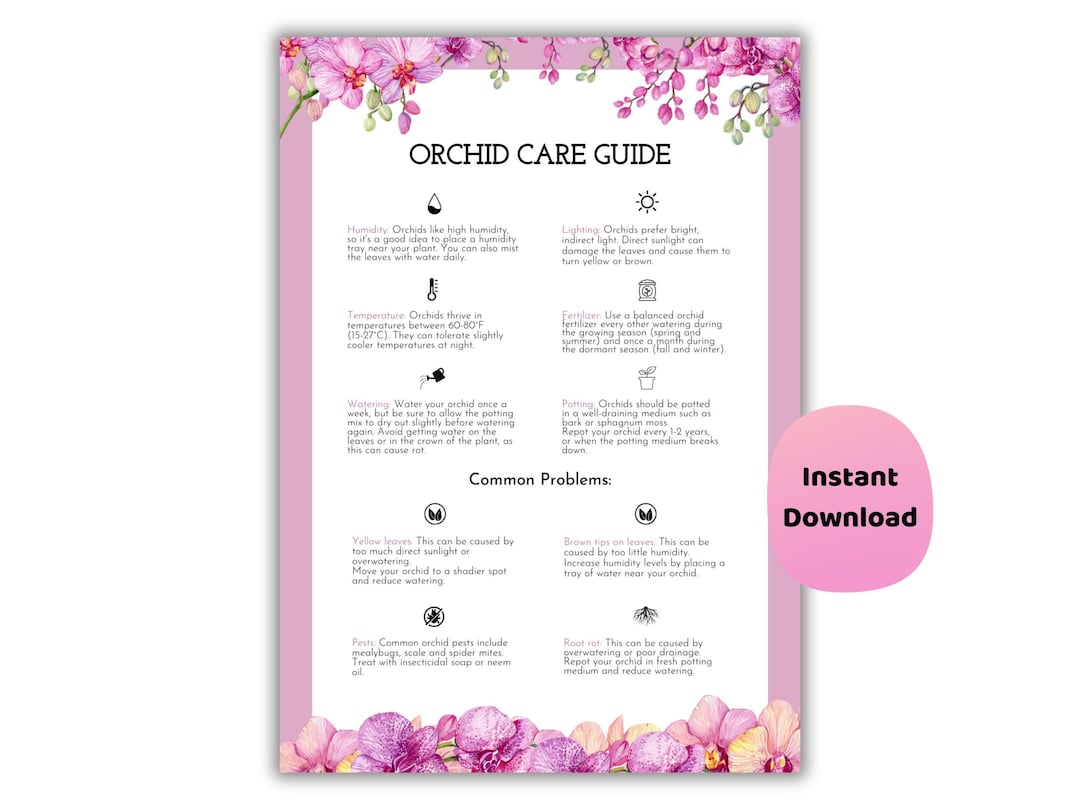 Orchid Care Guide Printable, Houseplant Help Poster (A4, A3, US) - Etsy