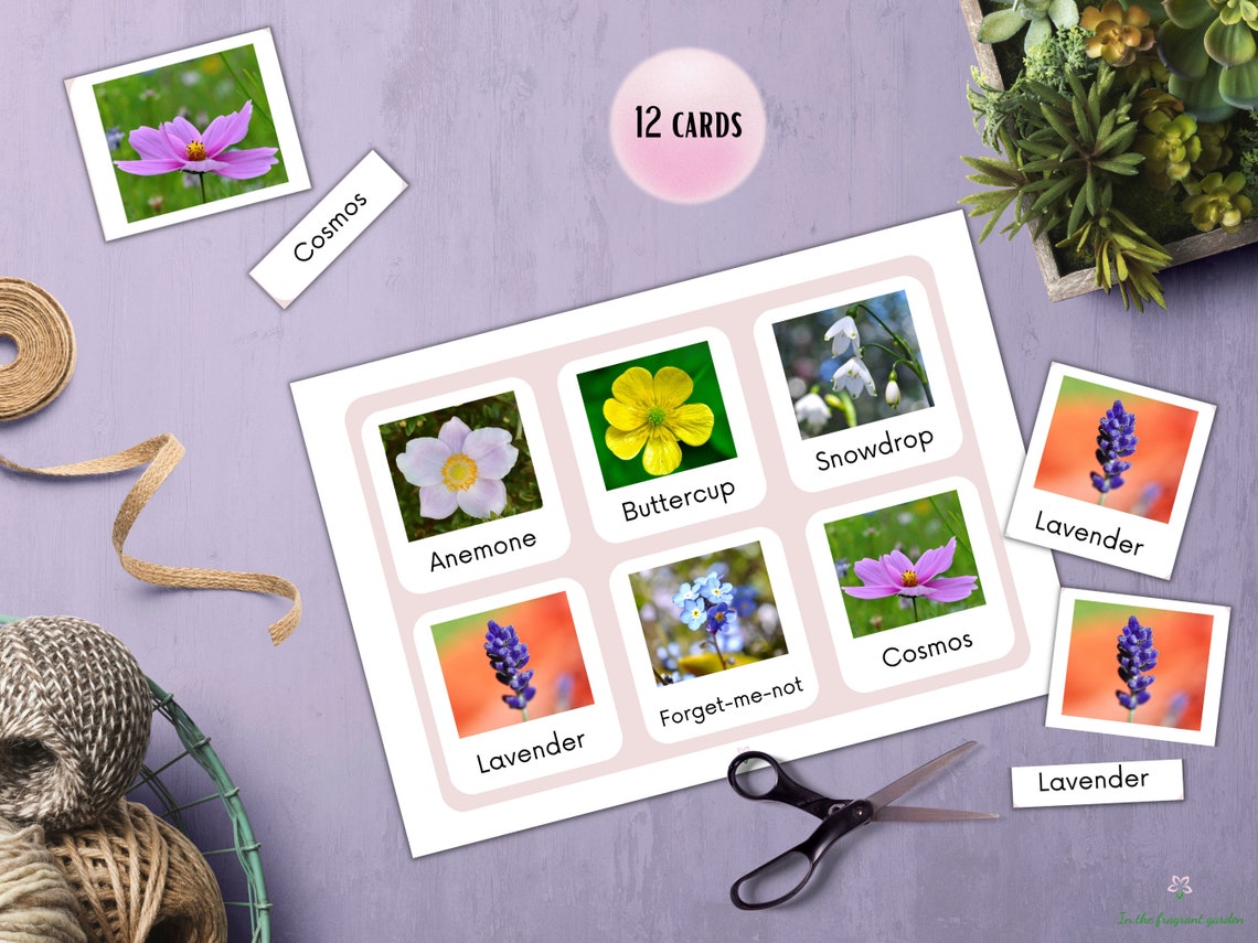 Homeschooling Montessori Flower Flash Cards Printable Real Floral Image ...