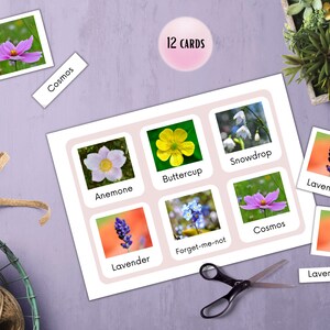 Homeschooling Montessori Flower Flash Cards Printable Real Floral Image ...