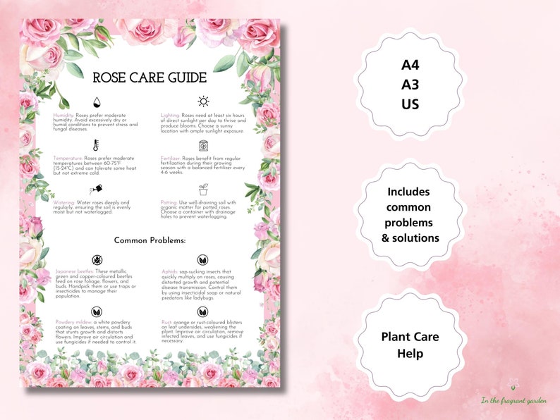 Complete Rose Plant Care Guide - Printable PDF for Beginners How to ...