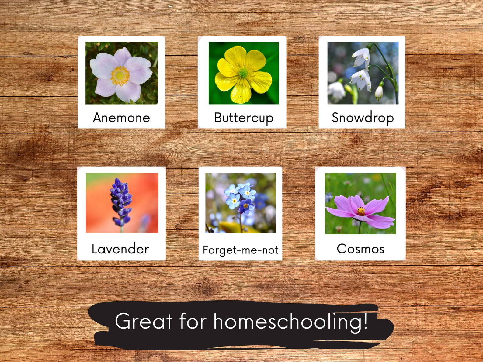 Homeschooling Montessori Flower Flash Cards Printable Real Floral Image ...
