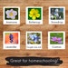 Homeschooling Montessori Flower Flash Cards Printable Real Floral Image ...