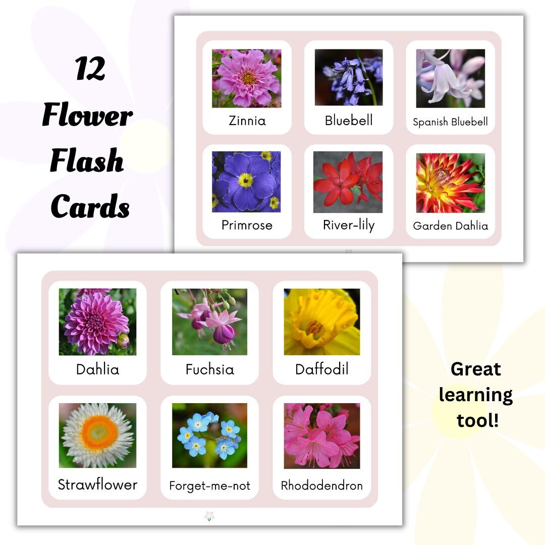 Flower Flash Cards Printable Real Floral Image Flash Cards 12 - Etsy