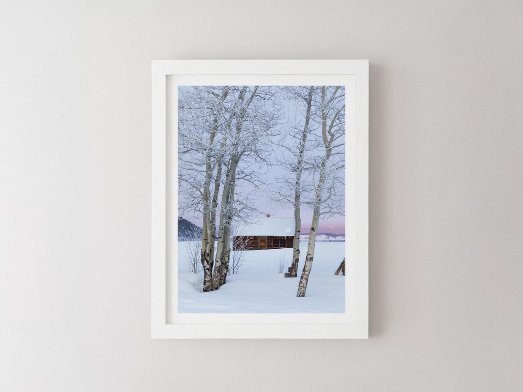 Snowy Cabin Print, Winter Aspen Trees, Rustic Landscape Photography - Etsy