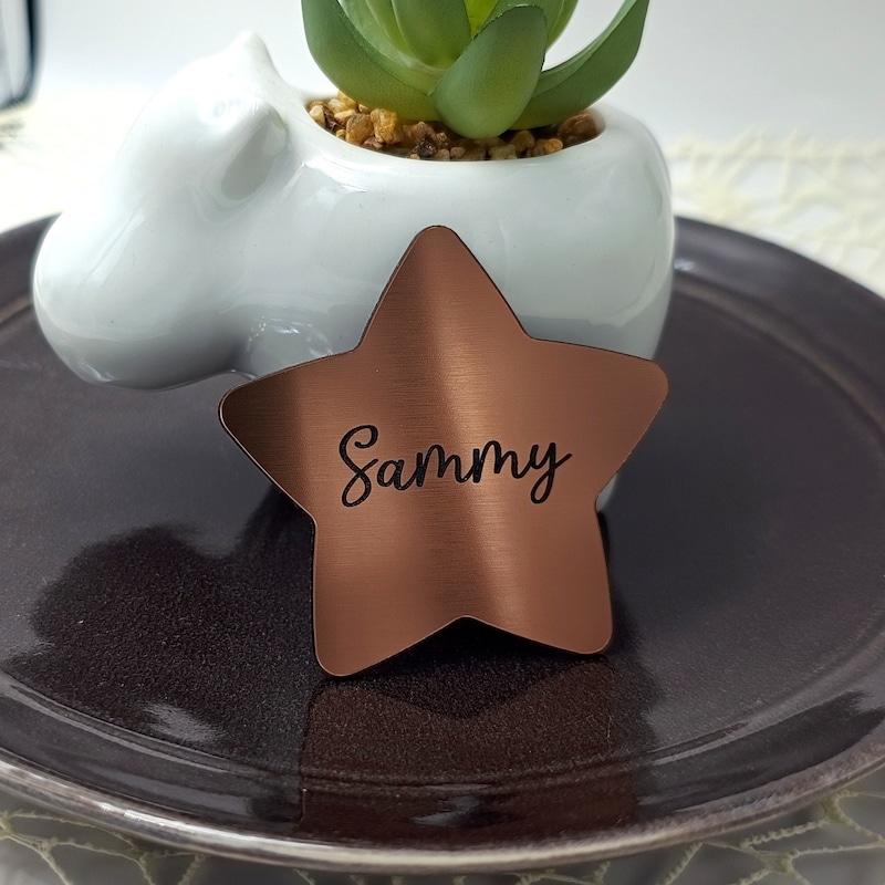 Star Place Cards - Etsy