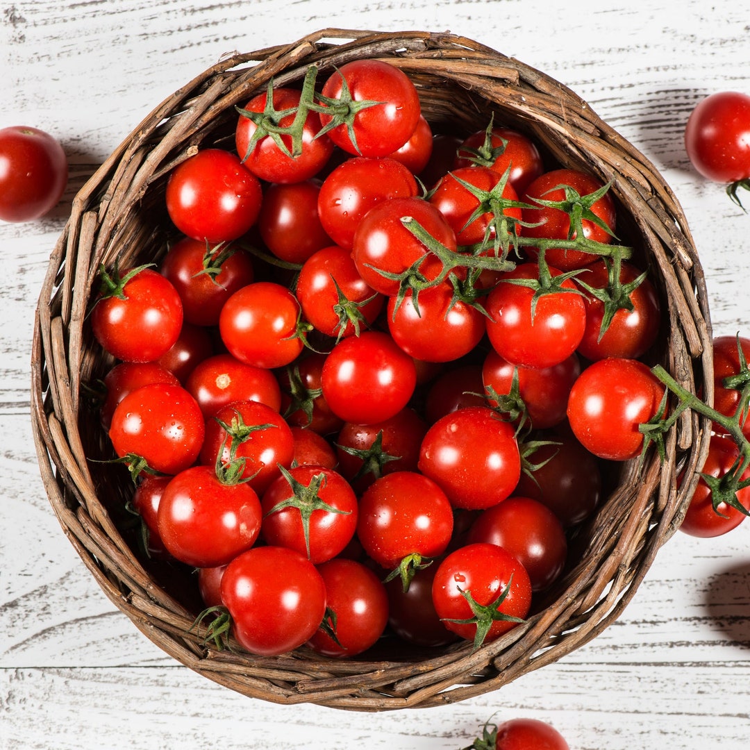 Matt's Wild Cherry - Tomato Plant - Cherry Tomato Seedling - Pre-order ...