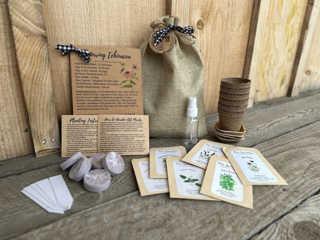 Herbal Tea Garden Seed Starting Kit - Etsy