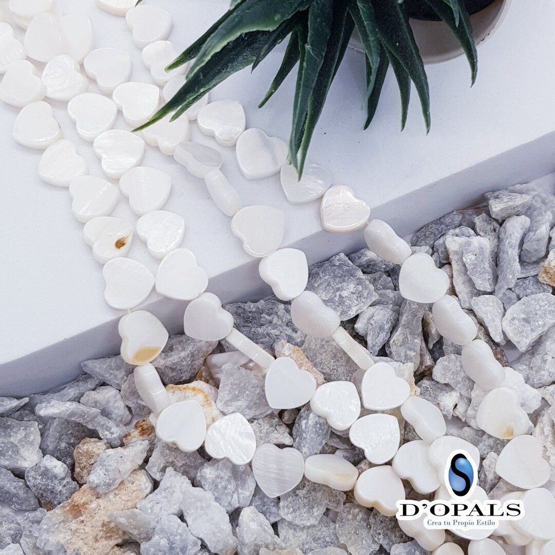 11mm Heart Shells, Shell for Jewelry Making, Shell, Genuine Shells ...