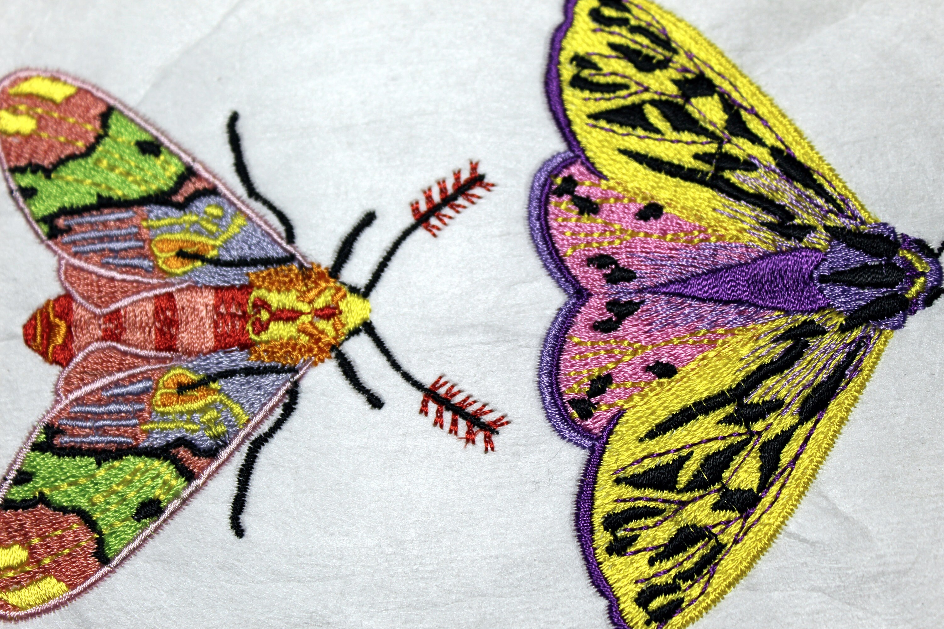 Colorful Moth Machine Embroidery Design Insects Butterfly | Etsy