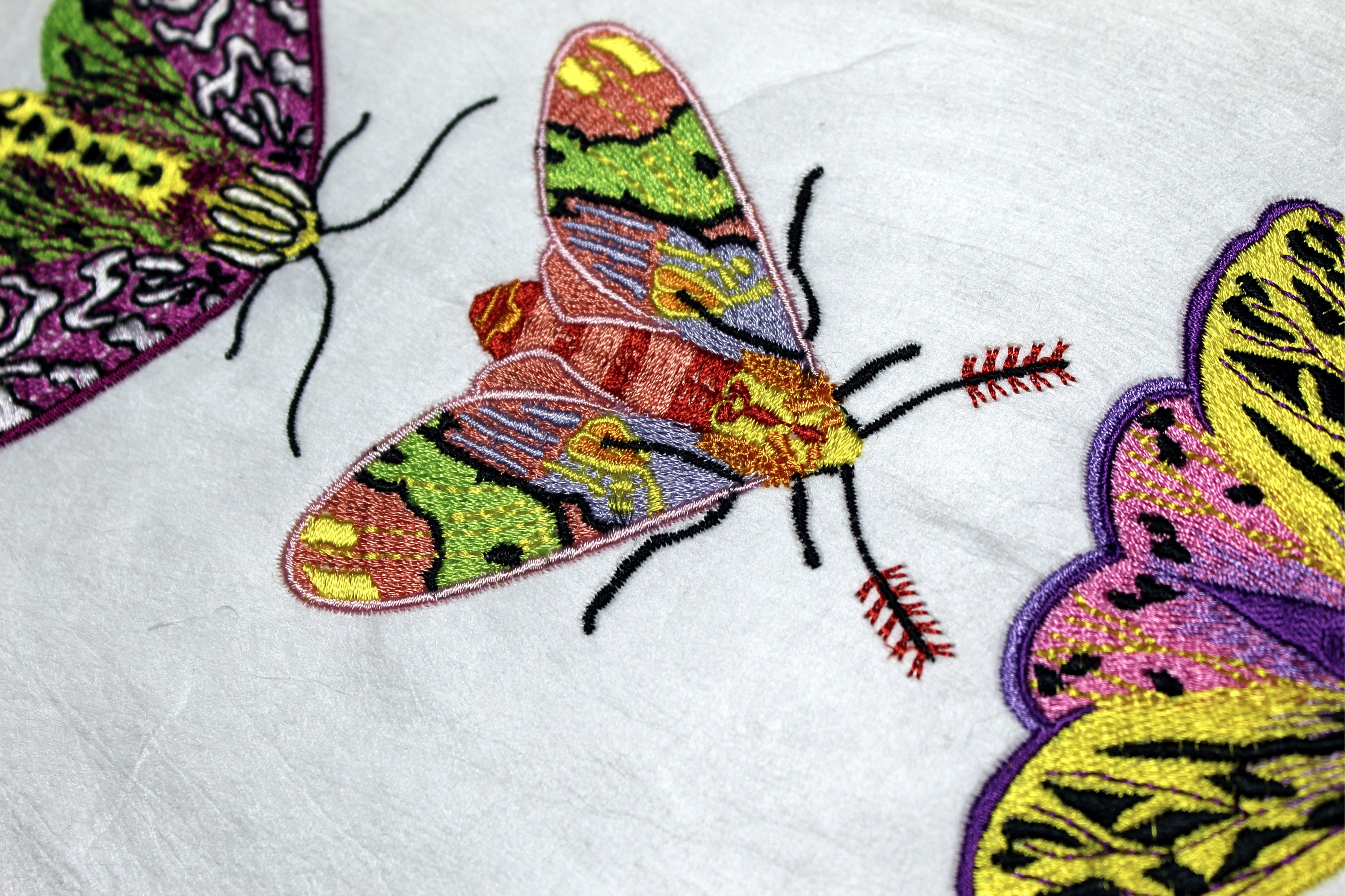 Colorful Moth Machine Embroidery Design Insects Butterfly | Etsy