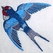 Machine Embroidery Design Colorful Swallow, Bird - Etsy