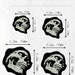 Machine Embroidery Design Skull - Etsy