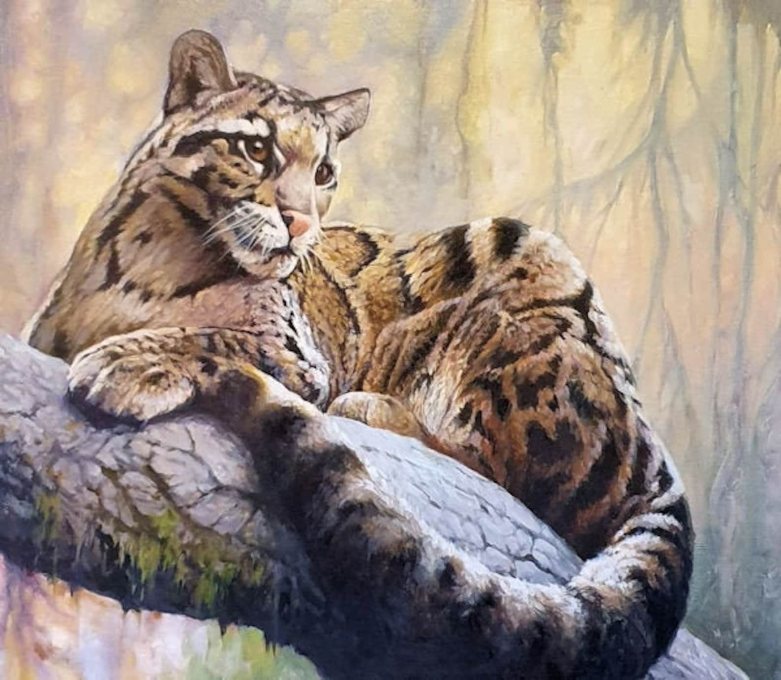 Clouded Leopard, Asian, Oil Paintings, Canvas, Animals, Leopards ...