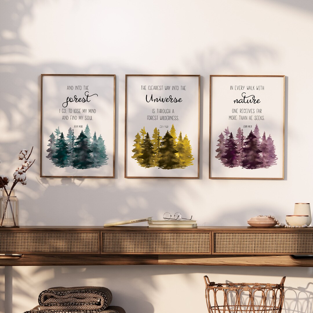 Set of 3 Inspirational John Muir Wall Art Prints, Forest Universe ...