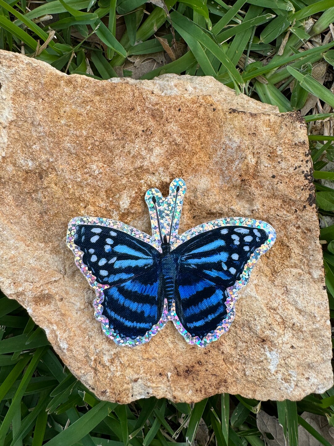 Mexican Bluewing | Butterfly Sticker | Holographic - Etsy