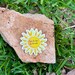 Sun Sticker | 3” Die Cut Vinyl - Etsy
