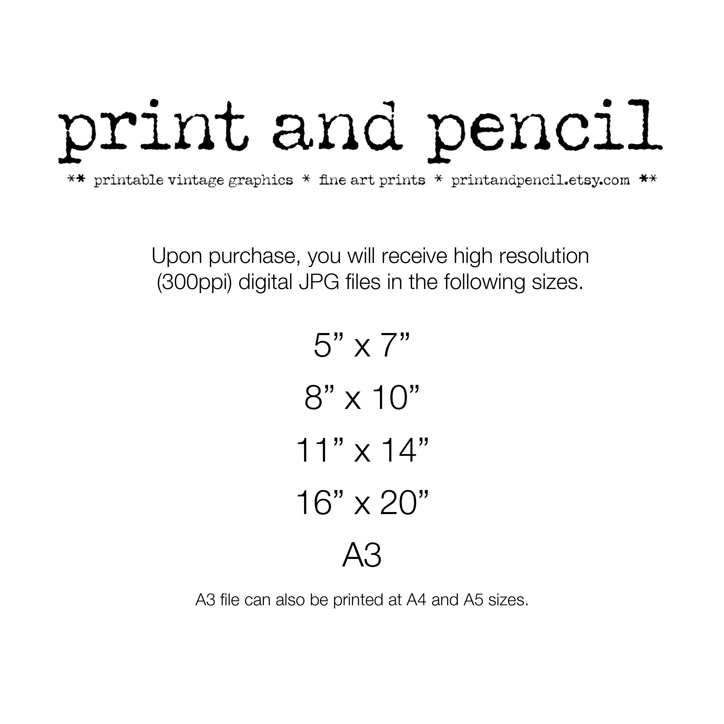 Solar System Model Planetary Orbit Diagram Printable Art Poster ...