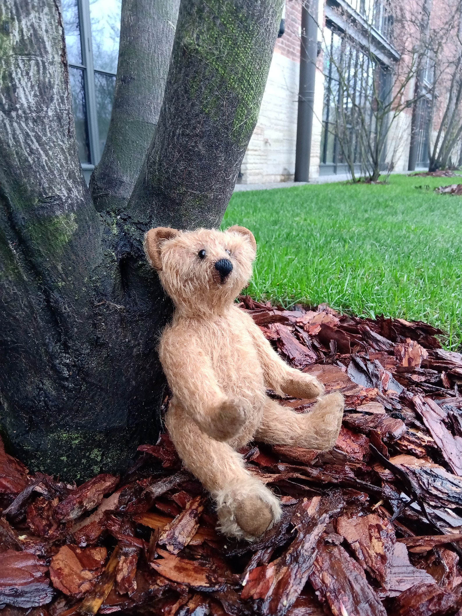 Teddy bear Nelson. Handmade Teddy. Teddy bears handmade. | Etsy