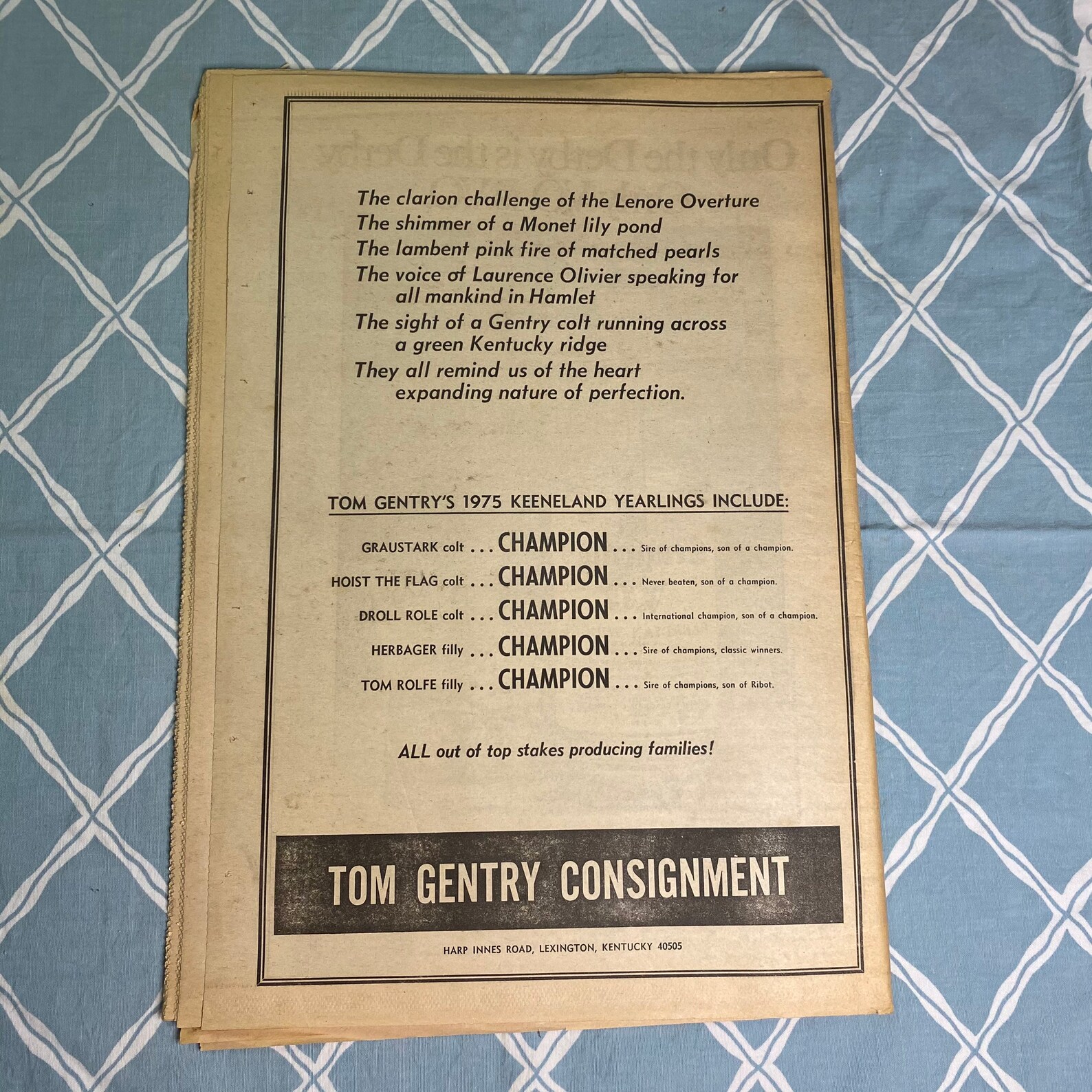 1975 Saturday May 3rd DAILY RACING FORM Kentucky Derby Special | Etsy